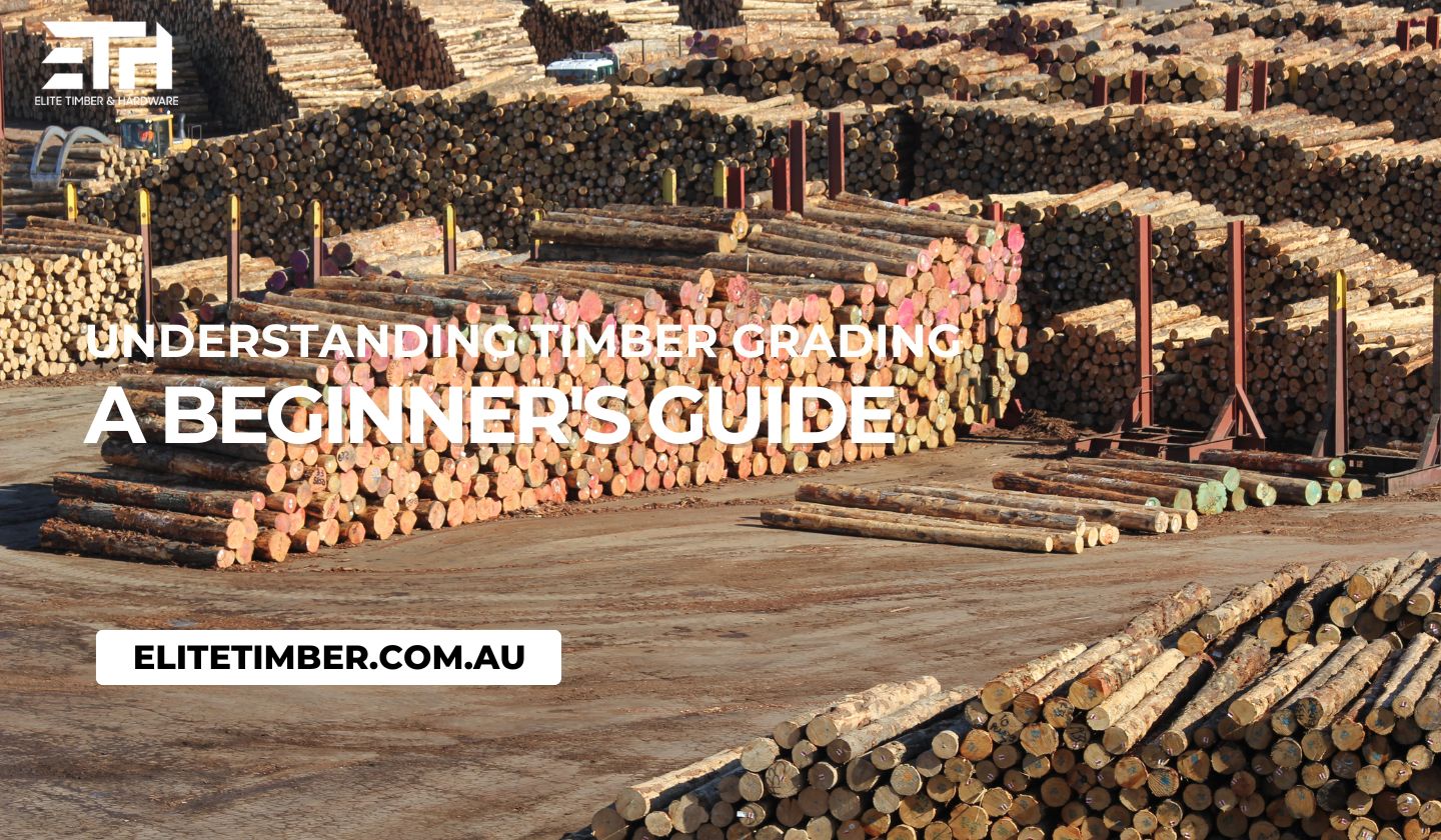 Understanding Timber Grading: A Beginner's Guide